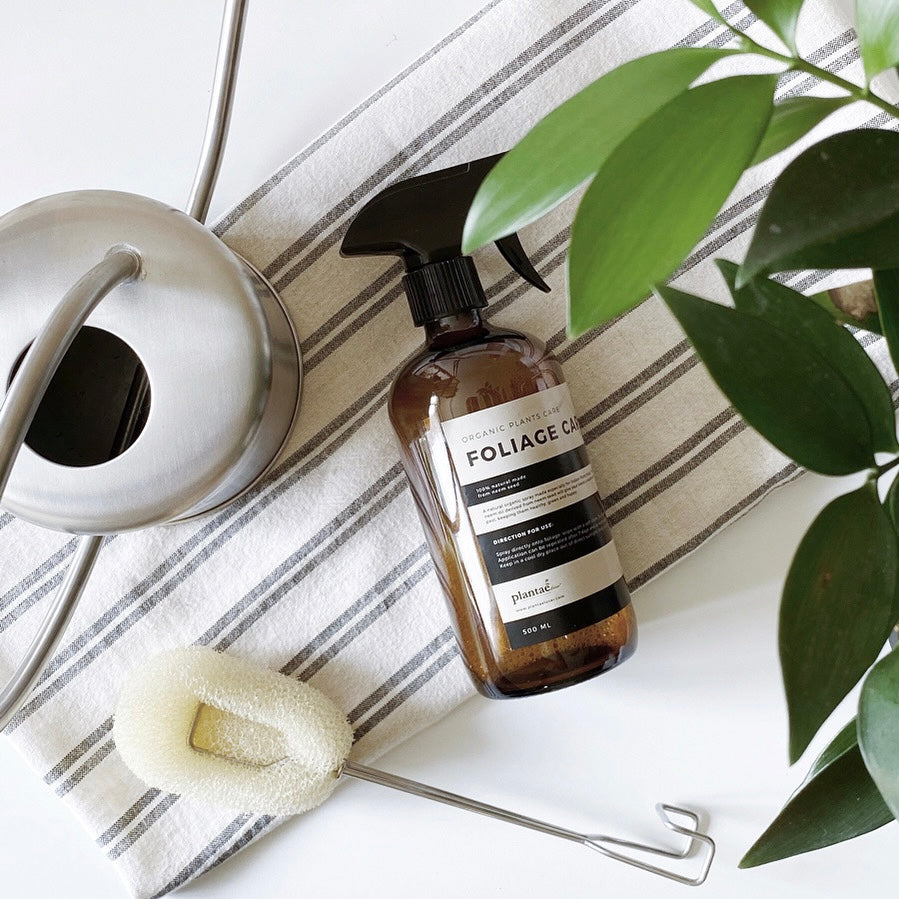 Organic Foliage Care: A Natural Solution for Thriving Plants – plantaelover